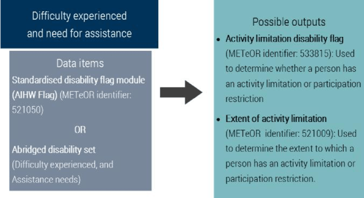 Data collection standards - People with disabilities | vic.gov.au