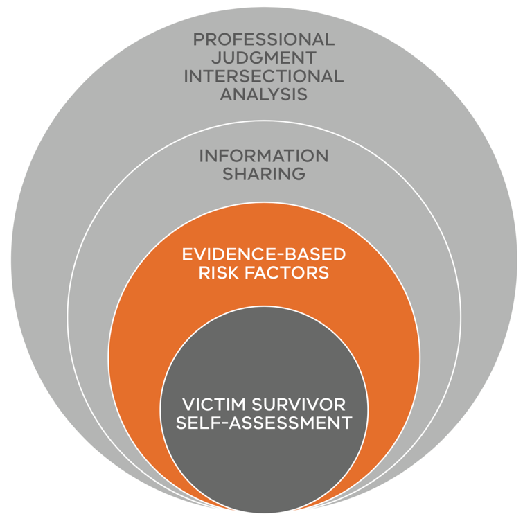 Responsibility 2: Identification of family violence risk | vic.gov.au