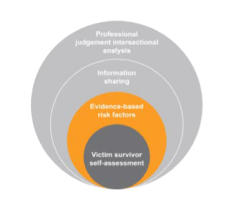 Responsibility 2: Identification of family violence risk | vic.gov.au