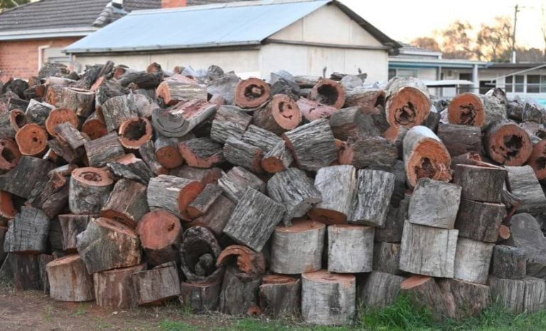 Northern Victoria firewood thief convicted and fined | vic.gov.au