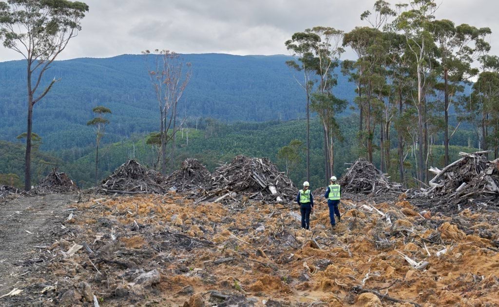 Forest audits | vic.gov.au