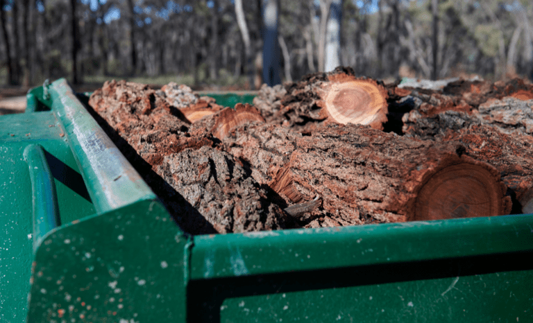The sad reality of illegal firewood collection in Victoria | vic.gov.au
