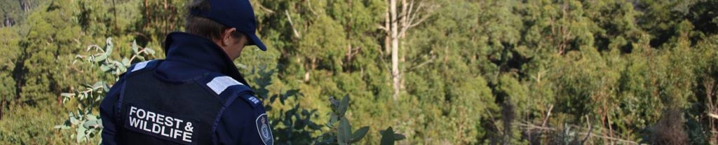 How to comply | vic.gov.au