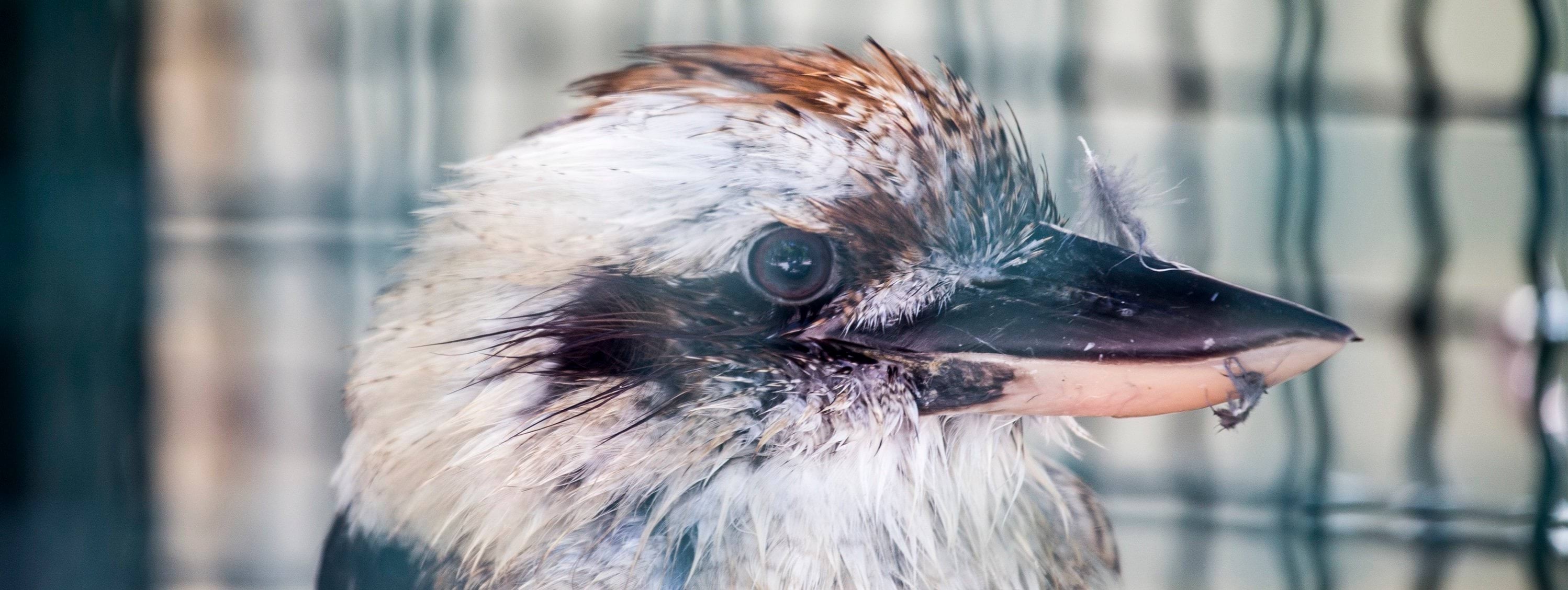 Still unsure? We're here to help | vic.gov.au