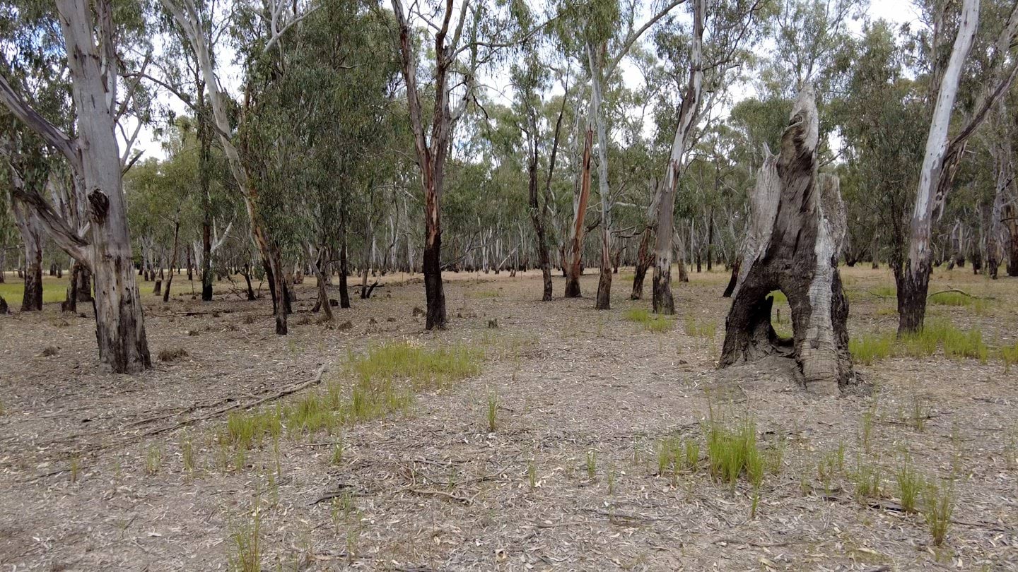 Aboriginal Cultural Heritage assessment protects sites of significance ...