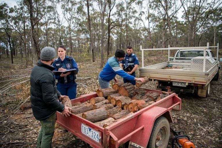 Collecting firewood | vic.gov.au