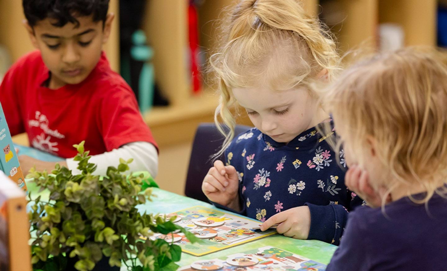 Next steps in the Disability Inclusion Research in Kindergartens ...