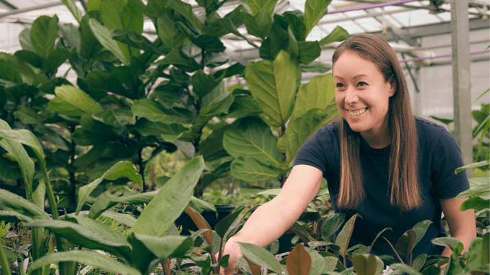 TAFE Victoria | vic.gov.au